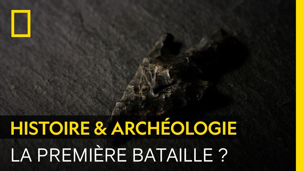 Documentaire | La bataille de la Tollense, un événement marquant dans l ...