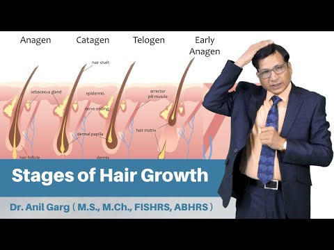 Stages of Hair Growth | How Do Hair Grow - Anagen, Catagen, Telogen Phase | Dr. Anil Garg