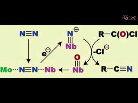 Breakthrough in nitrile activation is promising pathway for anticancer precursor synthesis