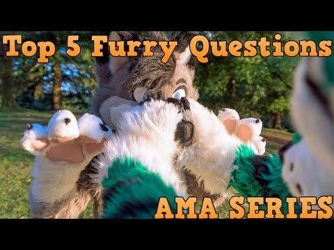 TOP 5 FURRY QUESTIONS ANSWERED !