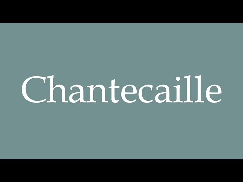 How to Pronounce ''Chantecaille'' Correctly in French