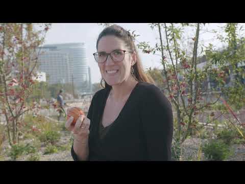 ASRA Award - Videobeitrag VBV Vorsorgekasse