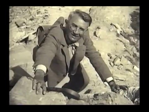 Dale Carnegie A Man of Influence  An A&E Biography