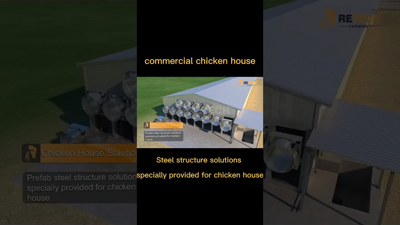 best structure for commercial modern poultry farming house design - RETECH Farming