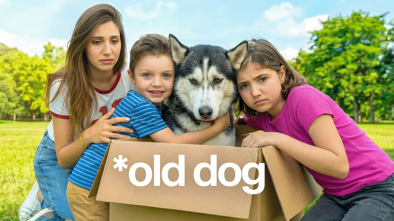 We Reunited with our Dog After Years!