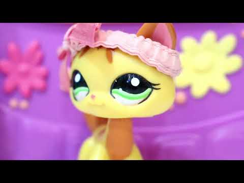 LPS 10 Things I Hate About Being In a Fandom