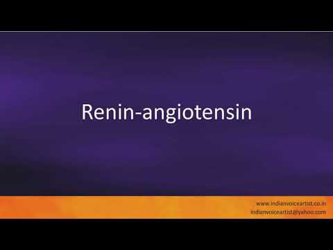 Pronunciation of the word(s) "Renin-angiotensin".