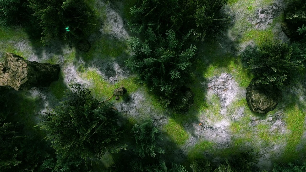 D&D Animated Map Forest Split Path