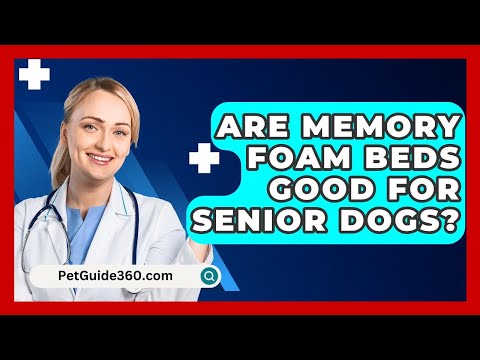 Are Memory Foam Beds Good For Senior Dogs? - PetGuide360.com