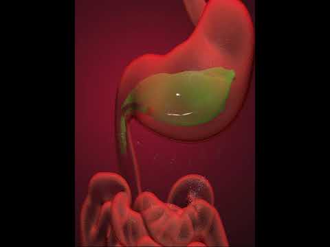 Digestive system- Duodenum (3D Animation)