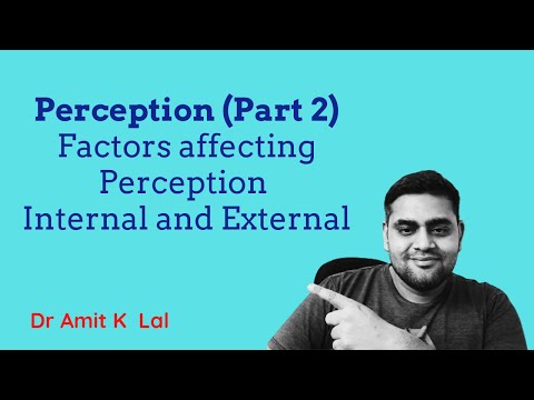 Factors Affecting Perception - Internal and External factors Video ...
