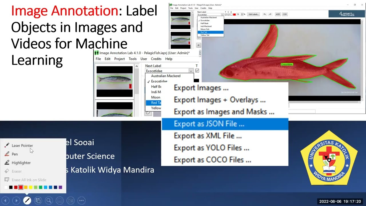 Image Annotation Label objects in images and videos for machine learning