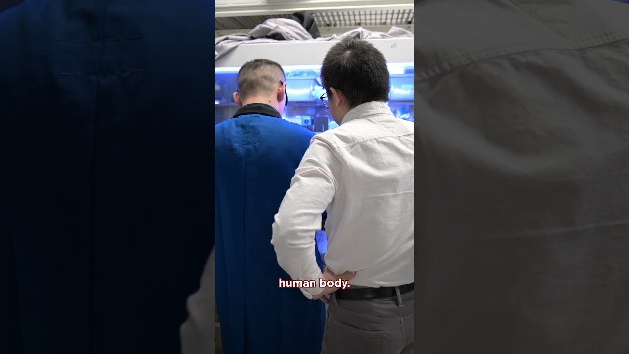 Innovative materials boost stretchable digital displays’ performance