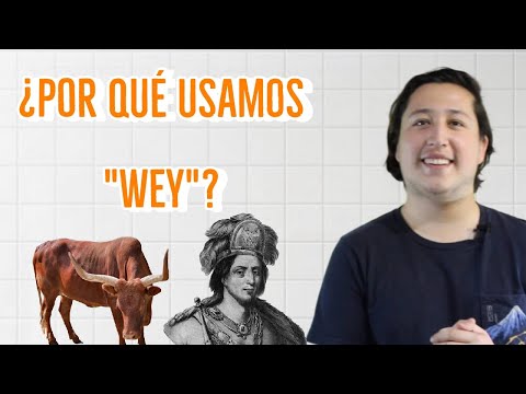 Cómo se escribe: wey o güey; esto dice la RAE