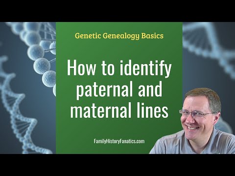 DNA Matches: How to Determine Paternal or Maternal Lines | Genetic Genealogy