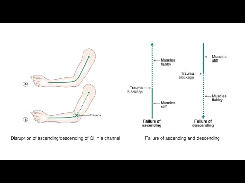 PATHOLOGY OF ASCENDING/DESCENDING OF QI IN THE CHANNELS