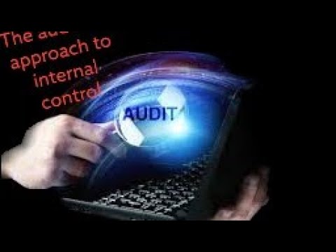 The Auditors Approach to Internal Controls