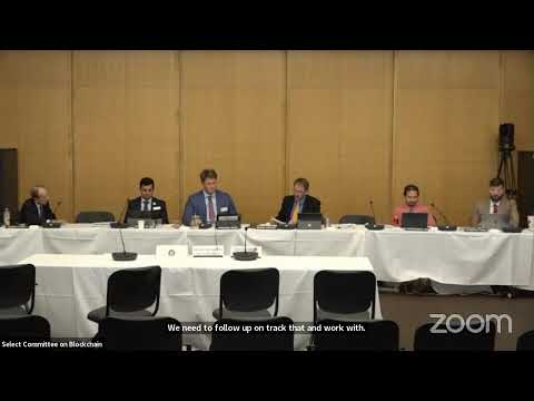 Select Committee on Blockchain, Financial Tech. & Digital Innovation Tech., September 16, 2024-PM