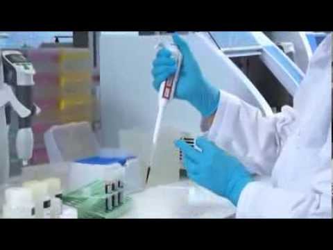 PCR Systems - Thermo Fisher Nucleic Acid Purification Kit MagMAX CORE ...