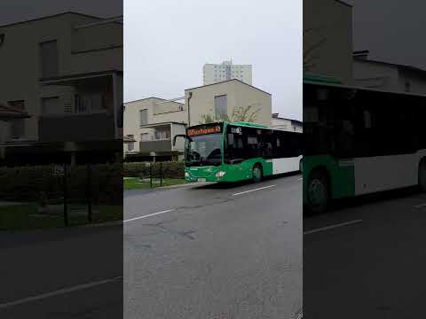 Bus in Graz, Linie 65 für Puntigam #shorts