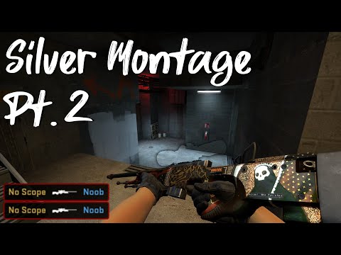 Steam Community :: Video :: Silver Montage Pt. 2 | Are scopes necessary?