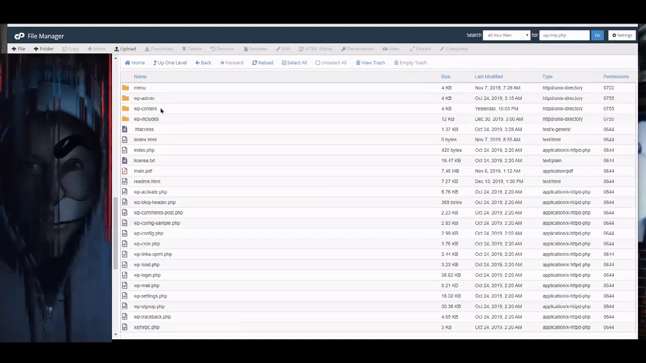 Remove easily wp-vcd wp-tmp Malware Wordpress