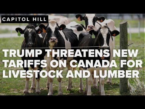 Trump threatens new tariffs on Canadian dairy and lumber, escalating trade tensions