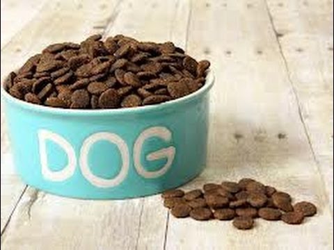 Dog Food Calorie Calculator; How Much Should You Feed Your Dog?