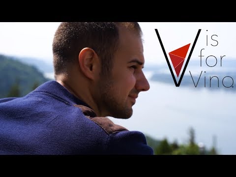What is V is for Vino Wine Show? The 3 Minute Breakdown
