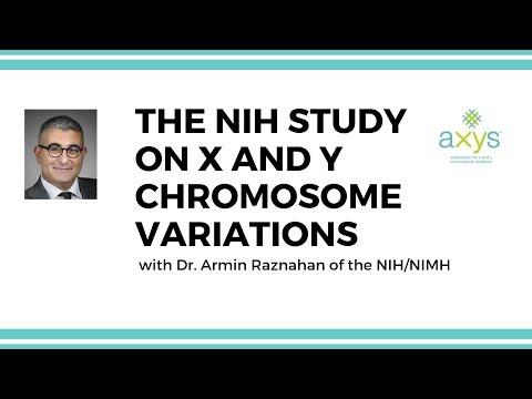 Dr. Armin Raznahan - The NIH Study on X and Y Chromosome Variations
