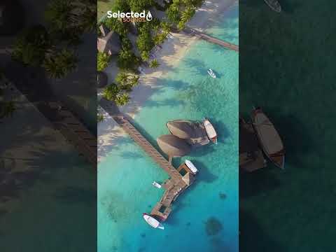 Summer Music Mix 2024 πΆ Best Of Vocals Deep House πΆ David Guetta, Rema, Alan Walker, Miley Cyrus