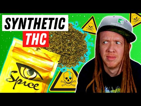 ⚠️This Is Why Spice Is ILLEGAL