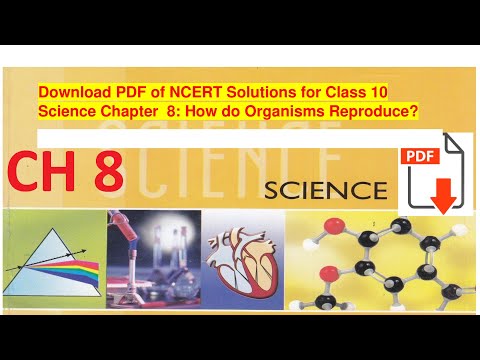 NCERT Solutions for Class 10 Science Chapter 8 – How do Organisms Reproduce