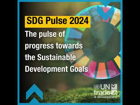 SDG Pulse 2024 – The pulse of progress towards the Sustainable Development Goals