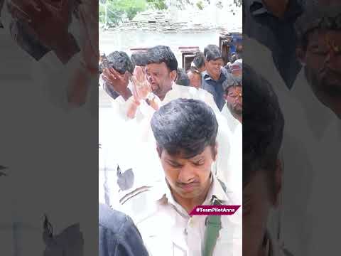 MLA Pilot Rohit Reddy Election Campaign | #shorts | #cmkcr | #brs | #tandur |#telanganaelections2023