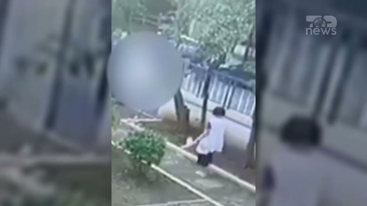 Top News/ EKSKLUZIVE! Del video kur sulmohet brutalisht avokati Sokol ... Top News/ EKSKLUZIVE! Del video kur sulmohet brutalisht avokati Sokol ...