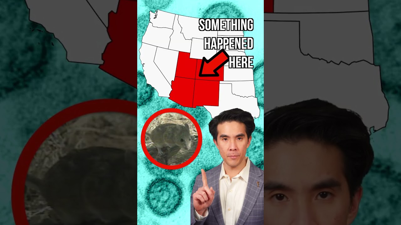 Insane Hantavirus Discovery