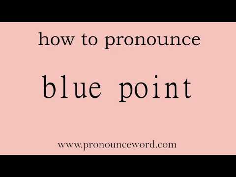 blue point. How to pronounce the english word blue point .Start with B. Learn from me.