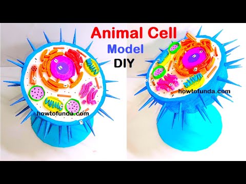animal cell model 3d making using cardboard | DIY science project | craftpiller @howtofunda