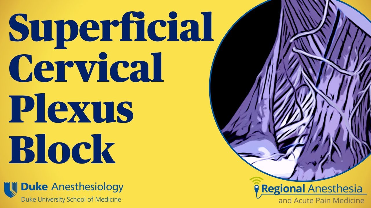 Superficial cervical plexus block
