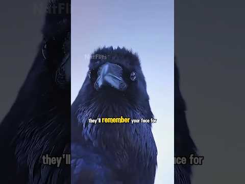 The Creepiest Thing About Crows You Never Knew #shorts #animals #nature