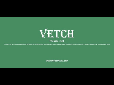 vetch: Pronounce vetch with Meaning, Phonetic, Synonyms and Sentence Examples