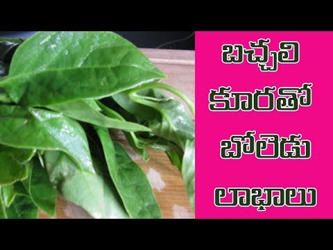 Malabar spinach Benefits in telugu|Bachali Kura Health Benefits In Telugu