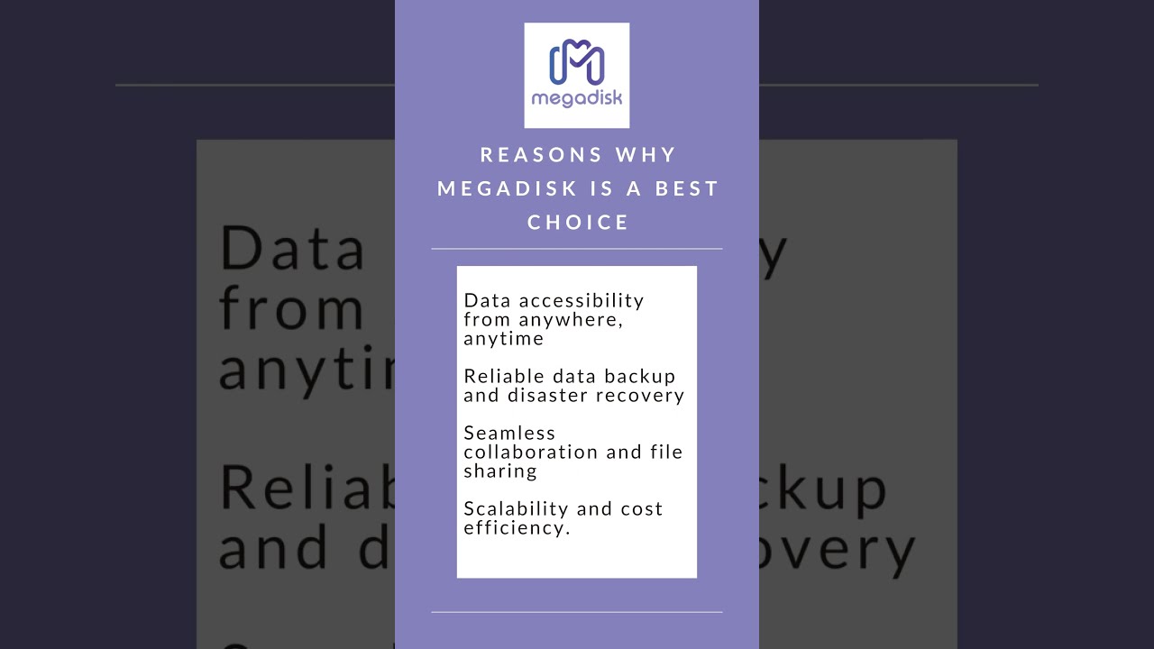 Megadisk.net - Store and Share Your Data
