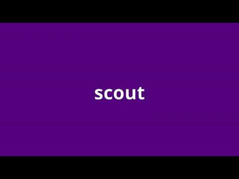 what is the meaning of scout