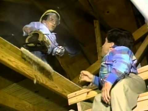 Termites 98| Hulett Environmental Services