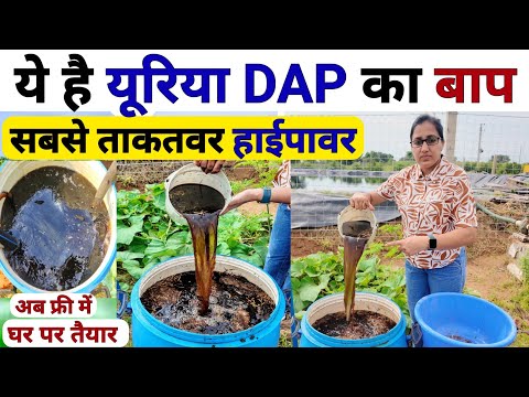DAP यूरिया से अधिक ताकतवर हाईपावर खाद | high power fertilizer | humic acid fertilizer | jaggery uses