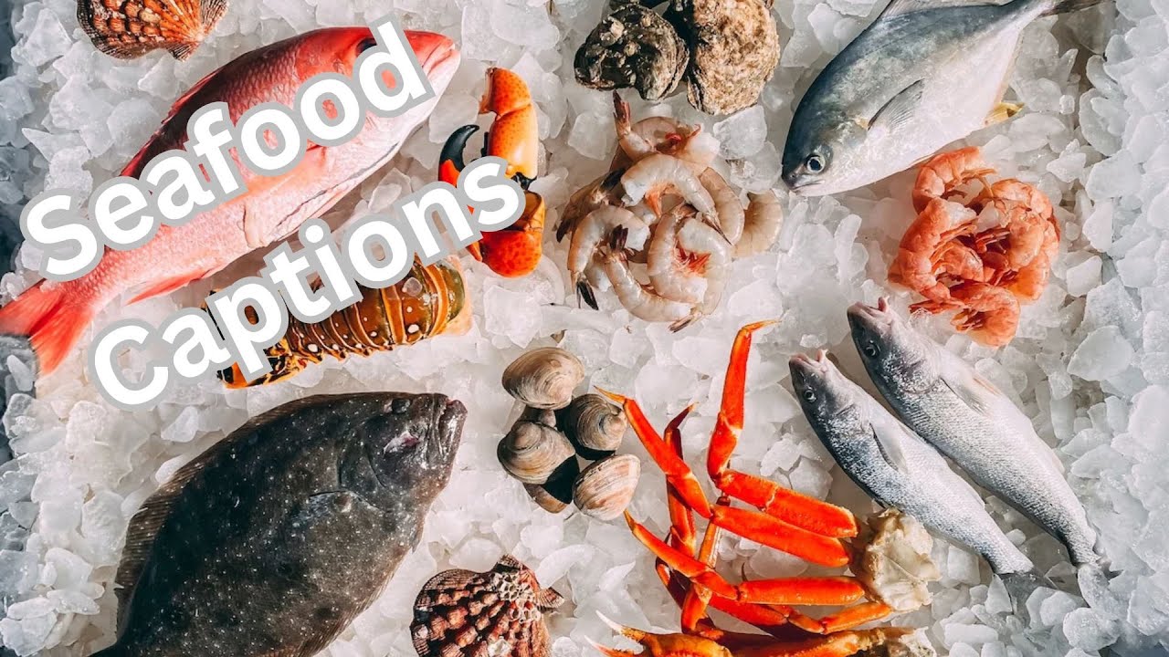 Seafood Captions and Quotes for Instagram | #quotes #caption #captionstock #instagramquotes #seafood