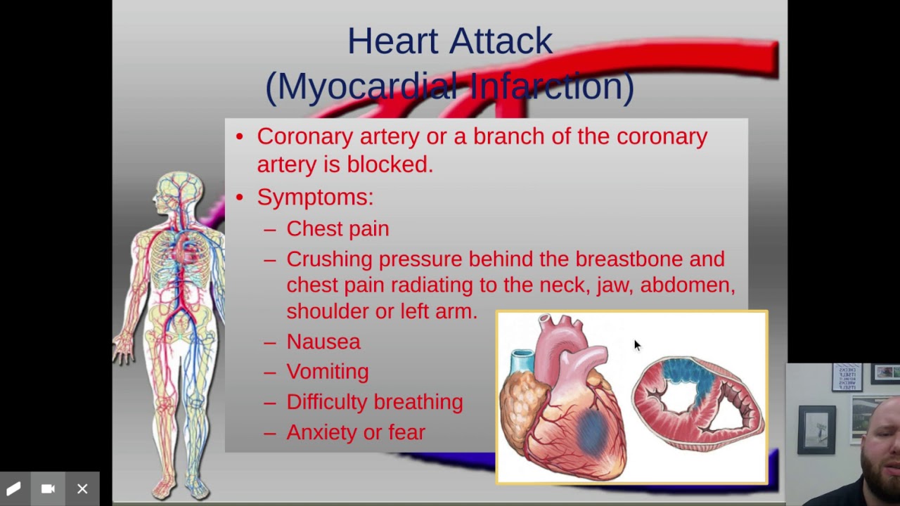 Circulatory.ppt - Google Slides