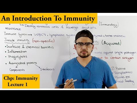 Innate vs adaptive immunity overview